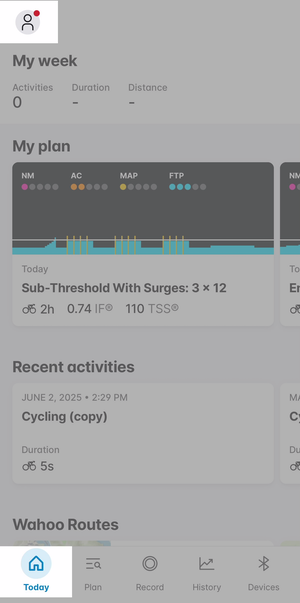 Authorize an app partner to sync routes, planned workouts, completed ...